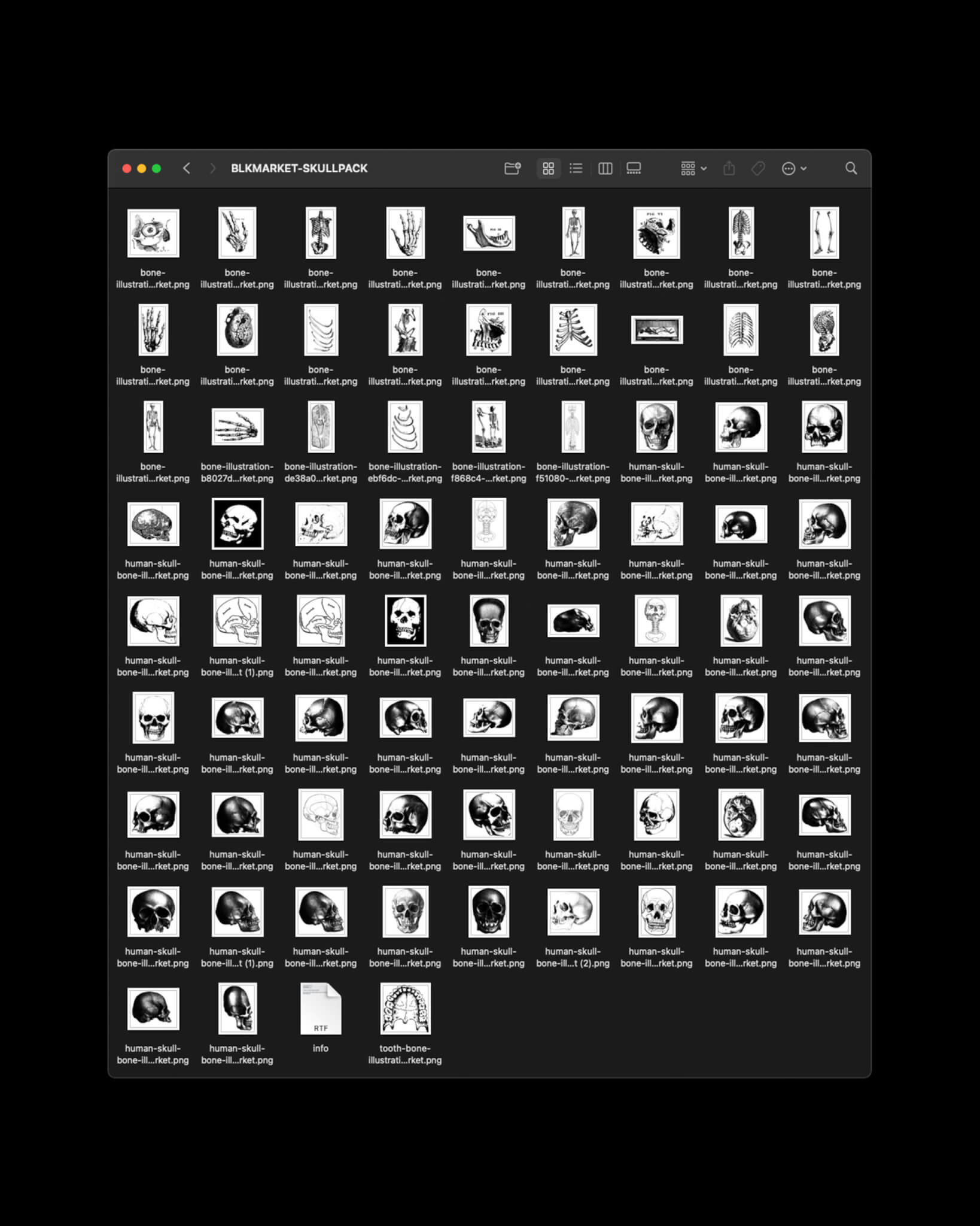 75 cool skull and bone assets for your designs 15$ - GenZ Academy