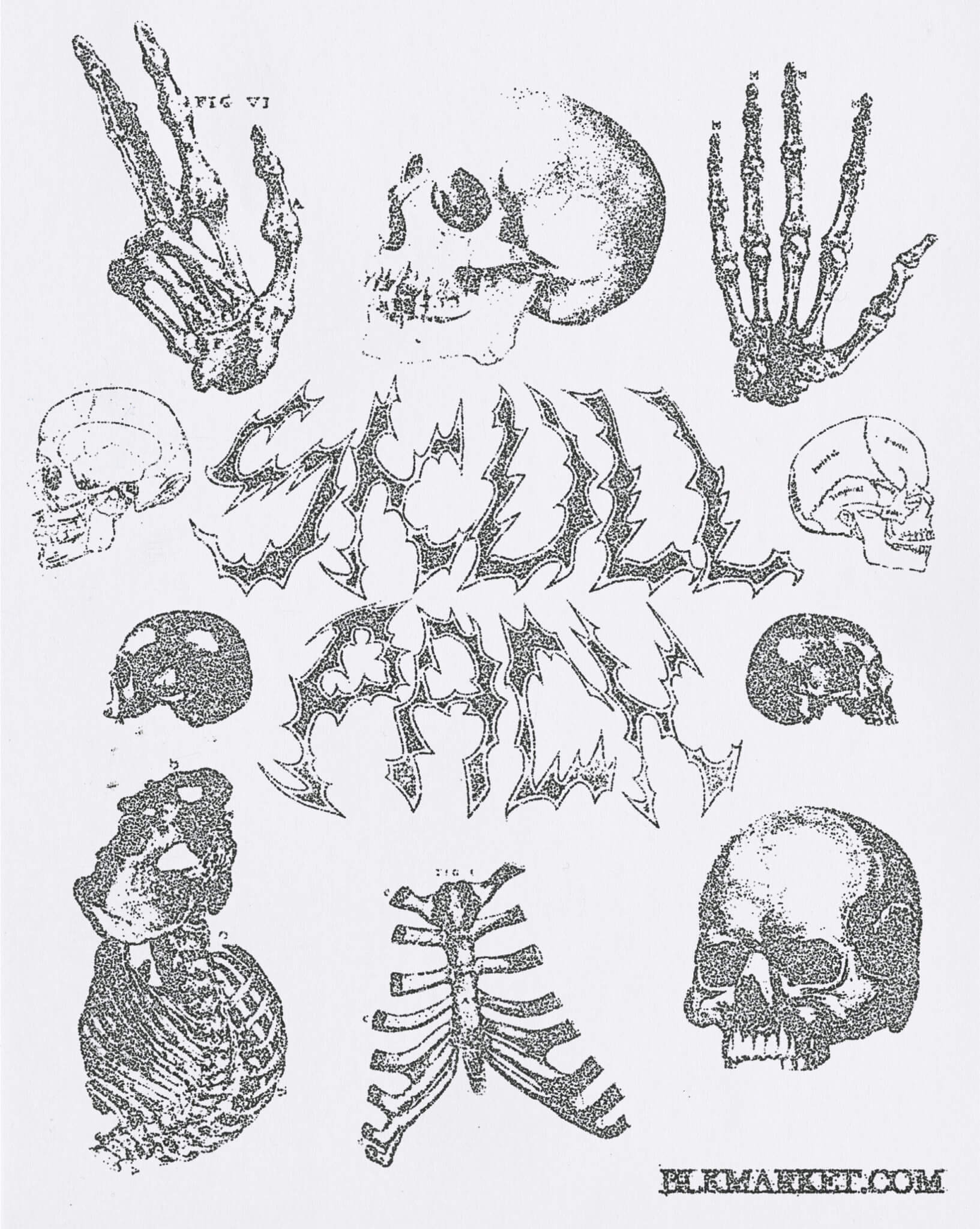 75 cool skull and bone assets for your designs 15$ - GenZ Academy