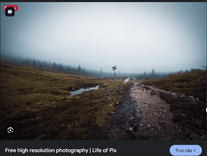 Kho ảnh stock miễn phí cho thương mại điện tử - Top 10 lựa chọn ưu việt ...